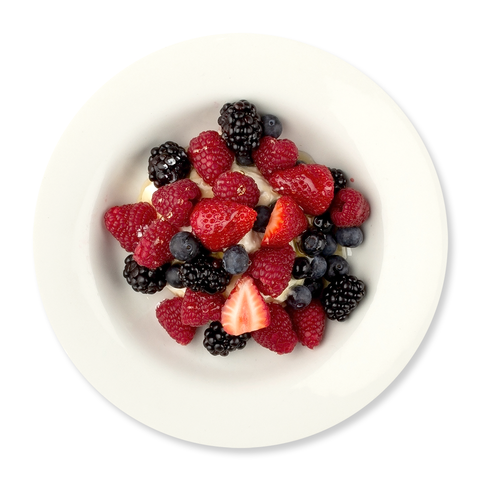 Main Home - Sofra Restaurants