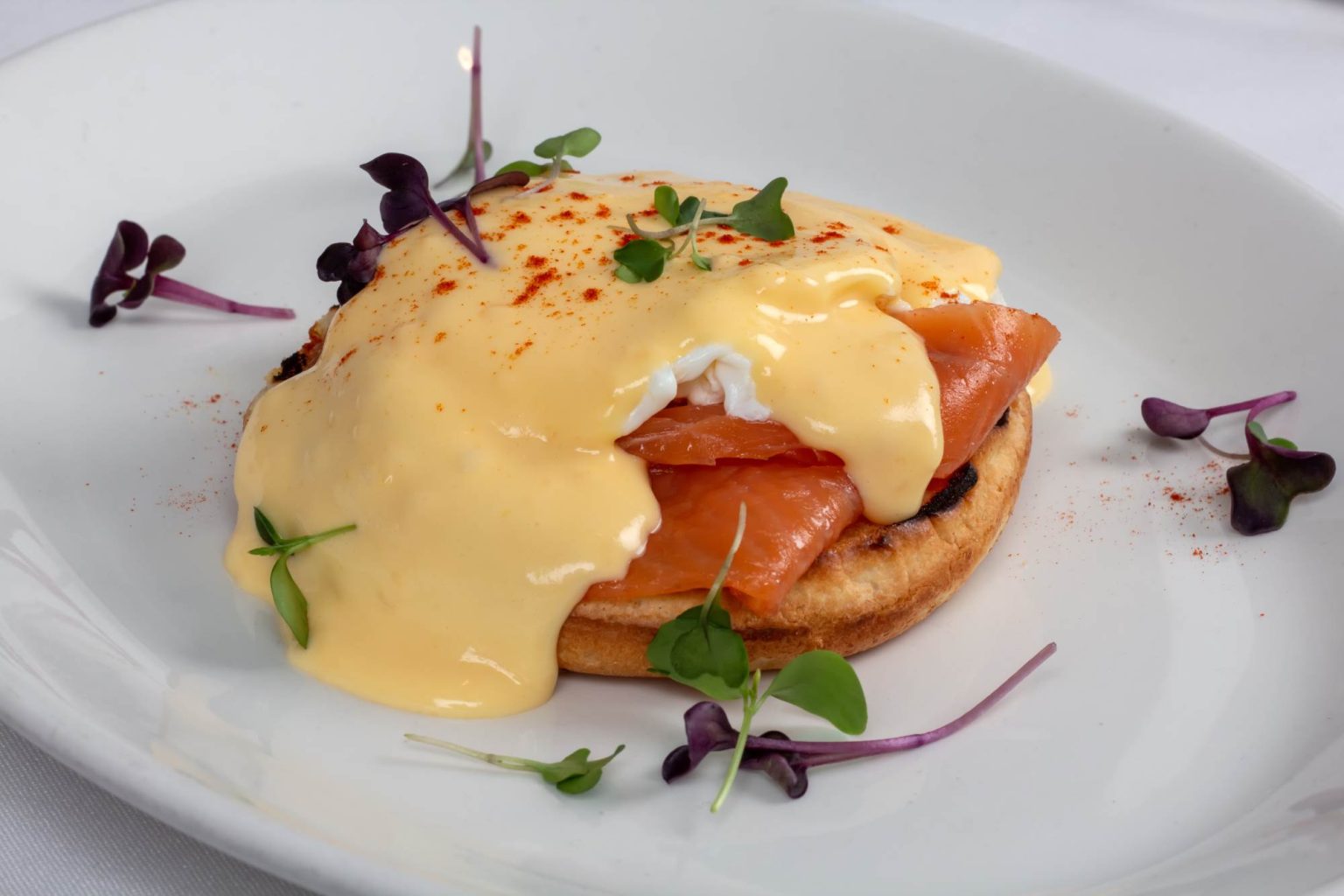 Sofra South Molton - Sofra Restaurants